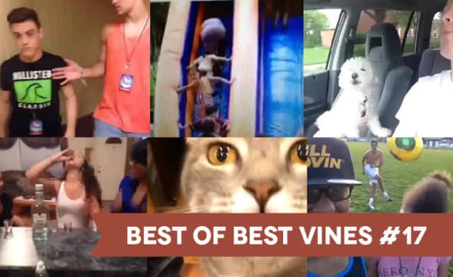 We Ranked The 50 Best Vines Of All Time And You’Re Welcome – WEOS
