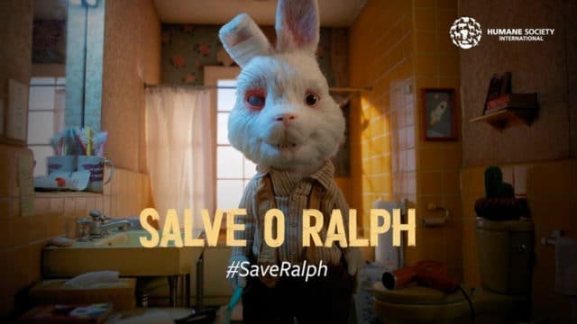 Curta 'Salve O Ralph' fala sobre a crueldade dos testes em animais de ...