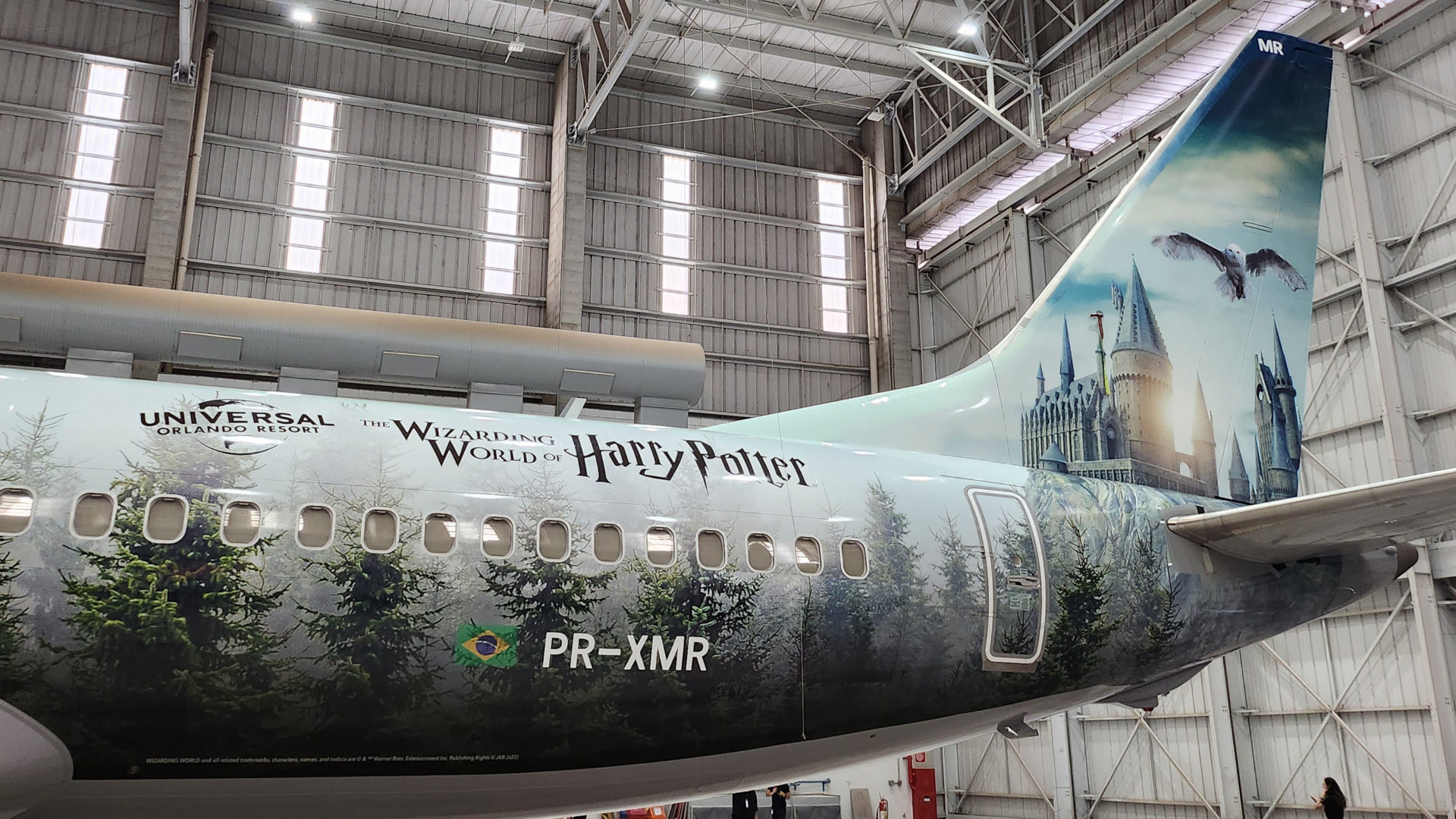 Gol apresenta avião do Harry Potter em parceria com Universal Orlando ...