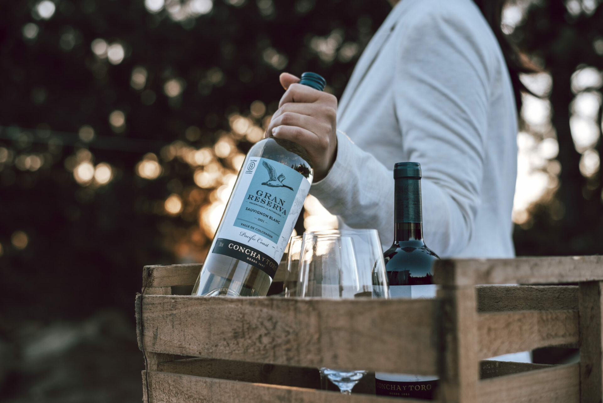 Concha y Toro faz ação em prol do planeta no Dia da Terra - GKPB - Geek ...