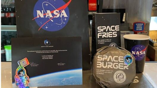 Patties Burger lança combo 'NASA' com sal que foi para o espaço - GKPB ...