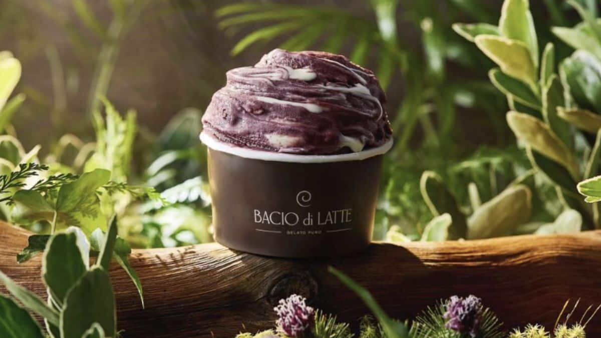 Bacio di Latte passa a oferecer açaí em seu cardápio - GKPB - Geek ...
