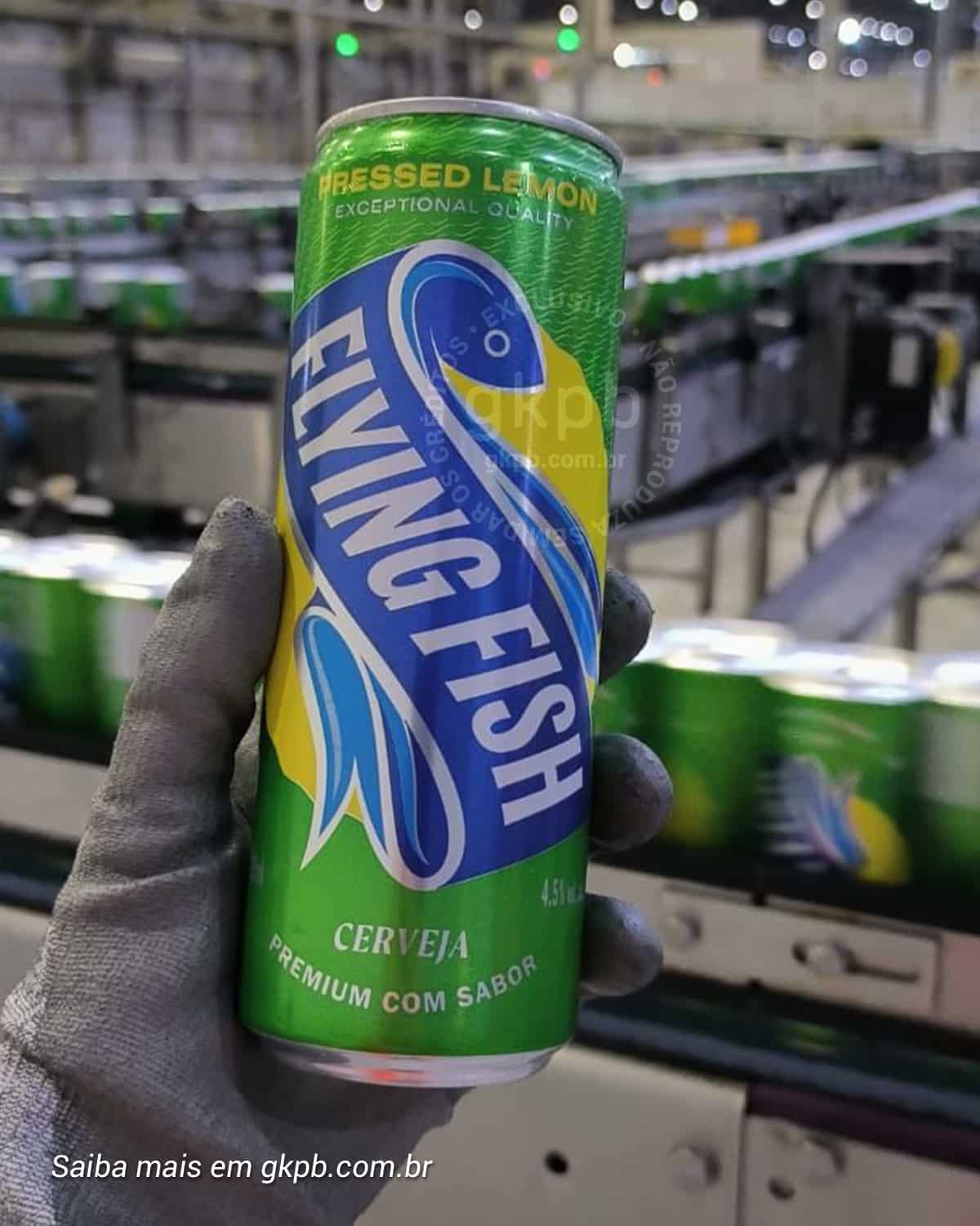 Flying Fish: Ambev aposta em nova cerveja para o Brasil - GKPB - Geek ...